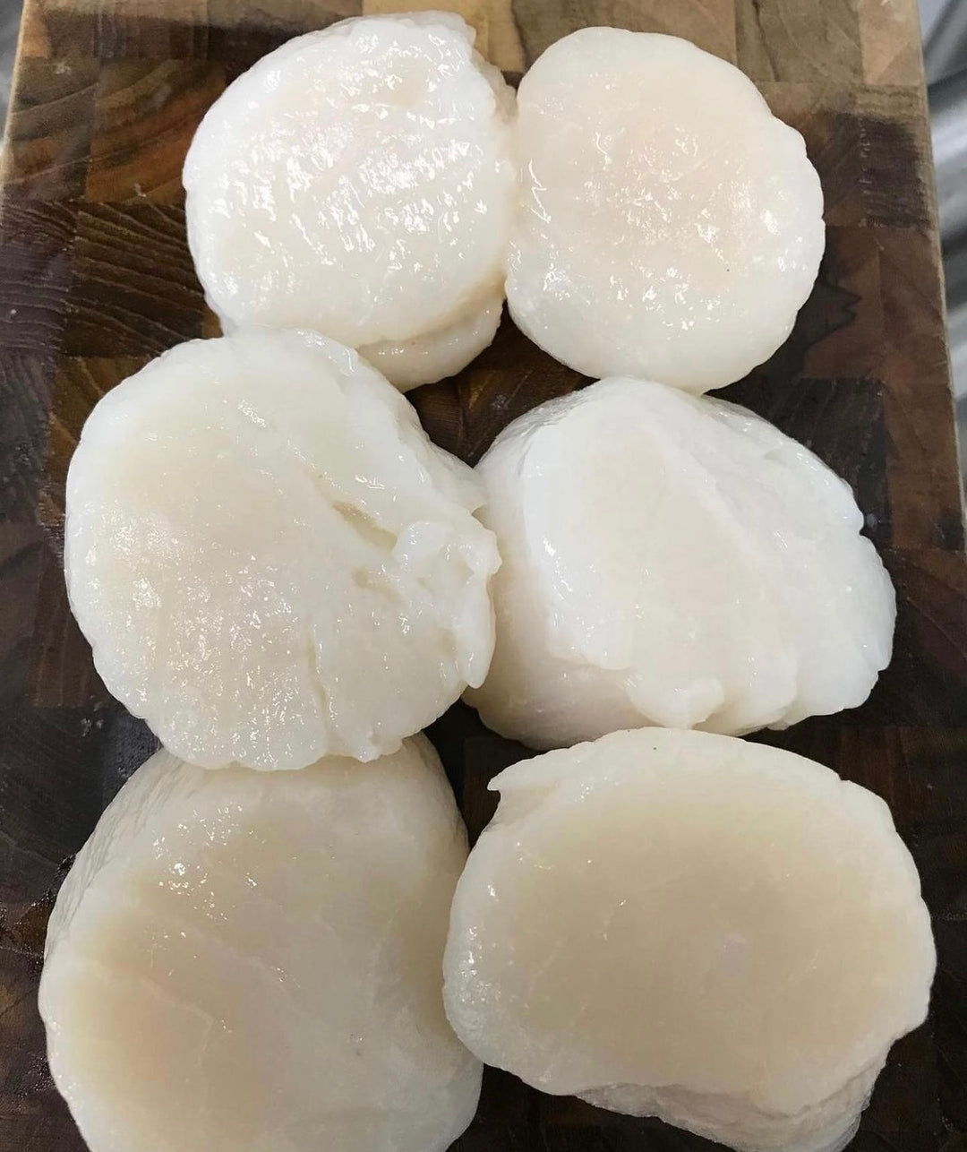 Seafood - Fresh Catch of the Week – The Upper Cut KC